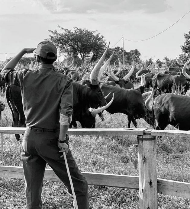 Rwanda Paul Kagame souffrirait -il d’un cancer mortel